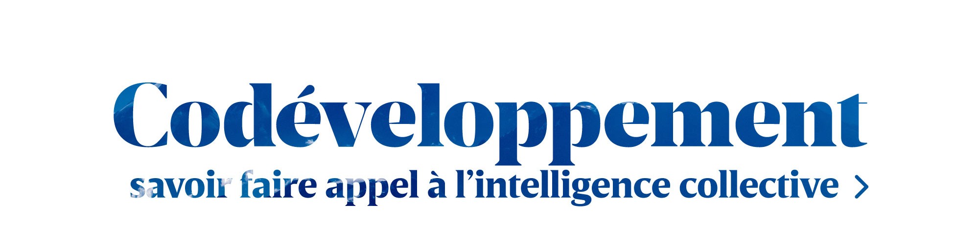 Alterhego | Cabinet de conseil en ressources humaines